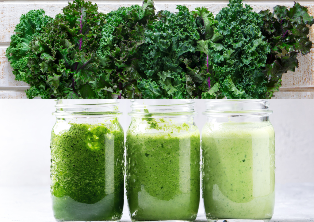 RecipesSearchIntroduction to Keto Greens - Ketoach